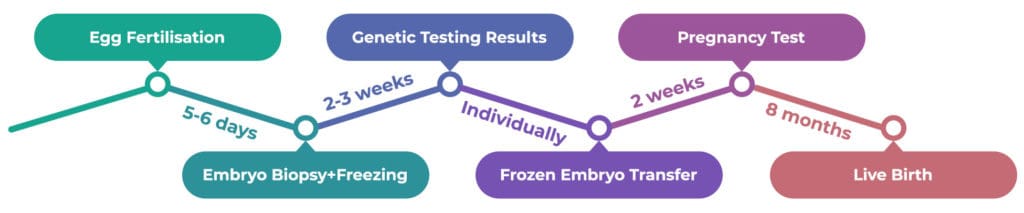 Chromosomal Screening of Embryos — PGT-A - O.L.G.A. Fertility